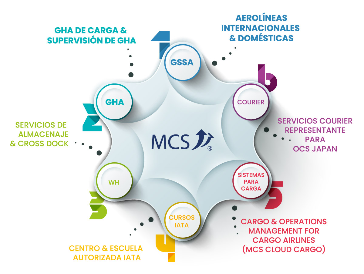 El grupo MCS | Logistics OCS-MCS